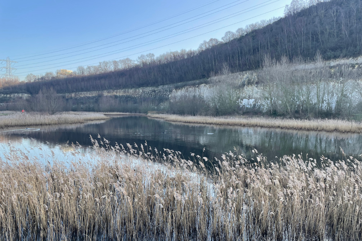 UP Projects A New Public Art Strategy for Ebbsfleet