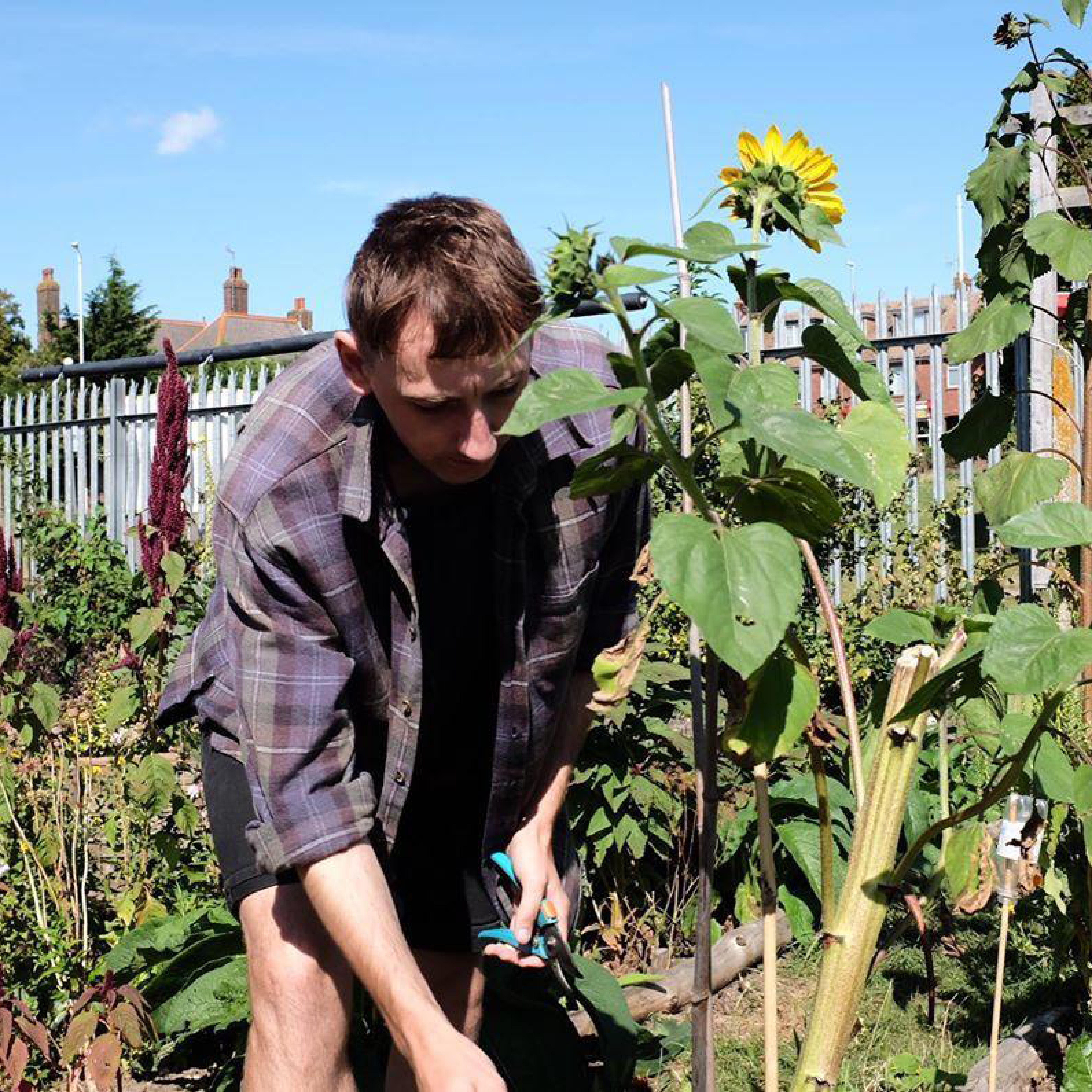 UP Projects Constellations ° Cohort 2023